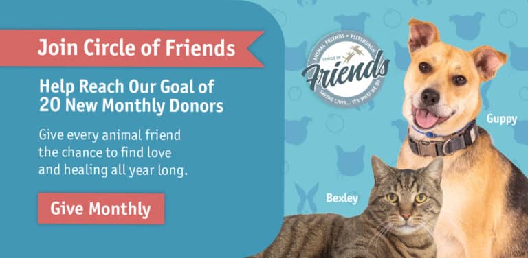 Animal Friends - Saving Lives. It's what we do.