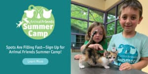 Animal Friends - Saving Lives. It's what we do.