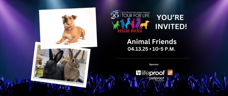 Animal Friends - Saving Lives. It's what we do.